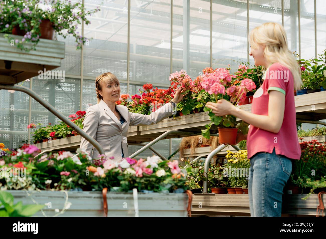 Gardener and his manager work in modern nursery plant store with a ...