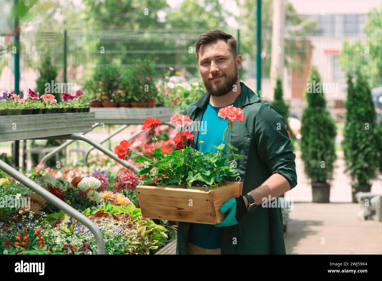Florist working and arranging flower pots in garden store Stock Photo ...