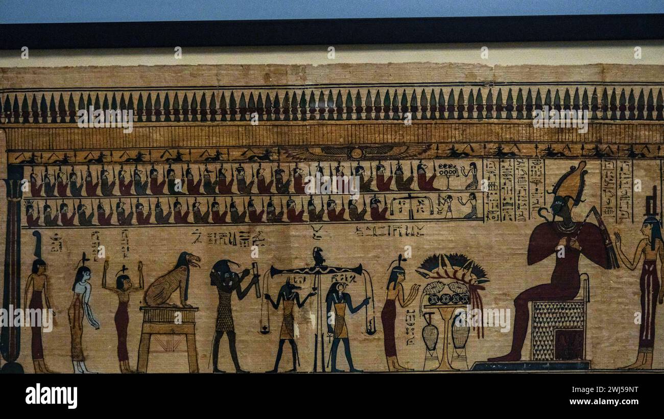 An ancient Egyptian papyrus, a symbol of historical significance at the ...