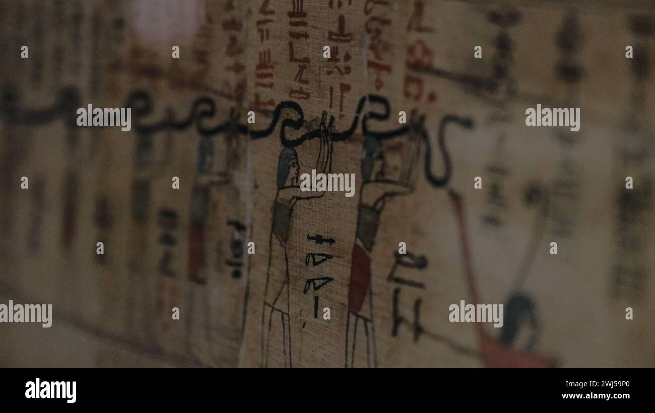 An ancient Egyptian papyrus, a symbol of historical significance at the ...