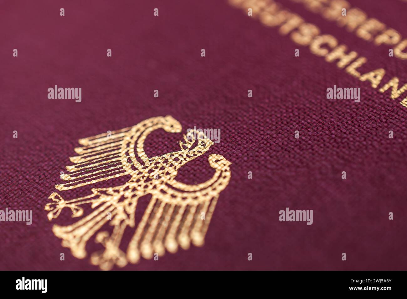 Digital passport in Germany Stock Photo - Alamy