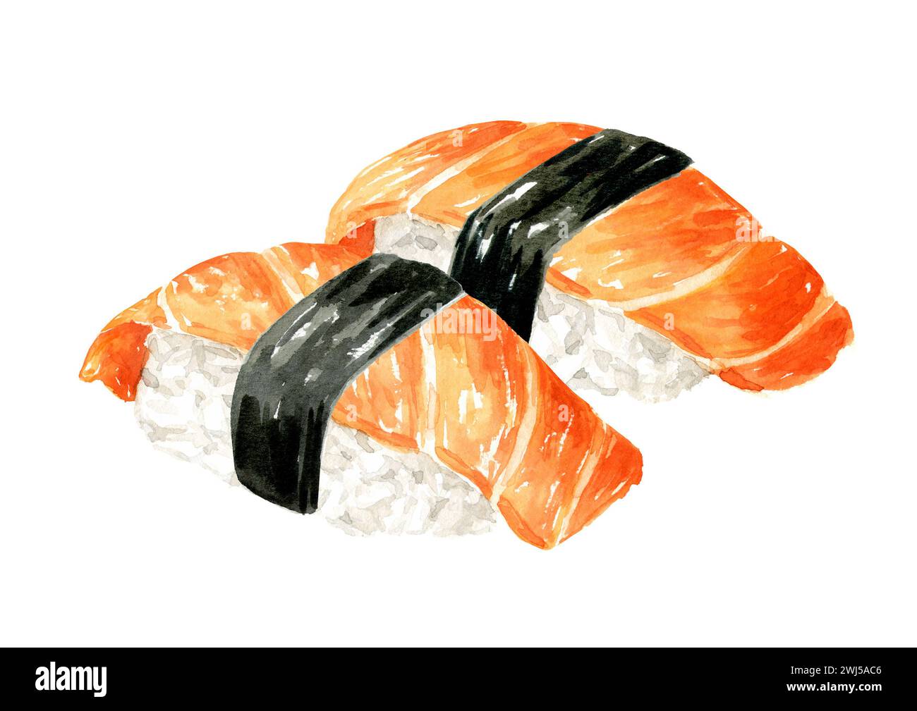 Nigiri Sushi with Salmon. Hand drawn watercolor illustration, isolated ...
