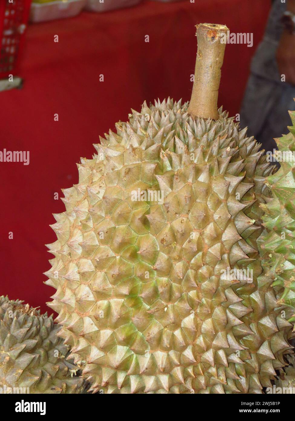 Tropical fruits singapore hi-res stock photography and images - Alamy