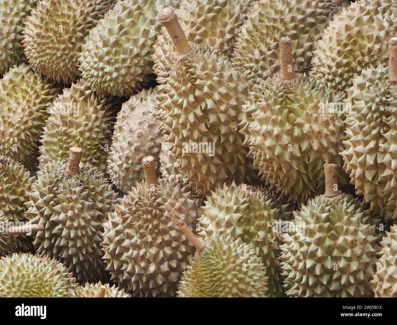 Tropical fruits singapore hi-res stock photography and images - Alamy