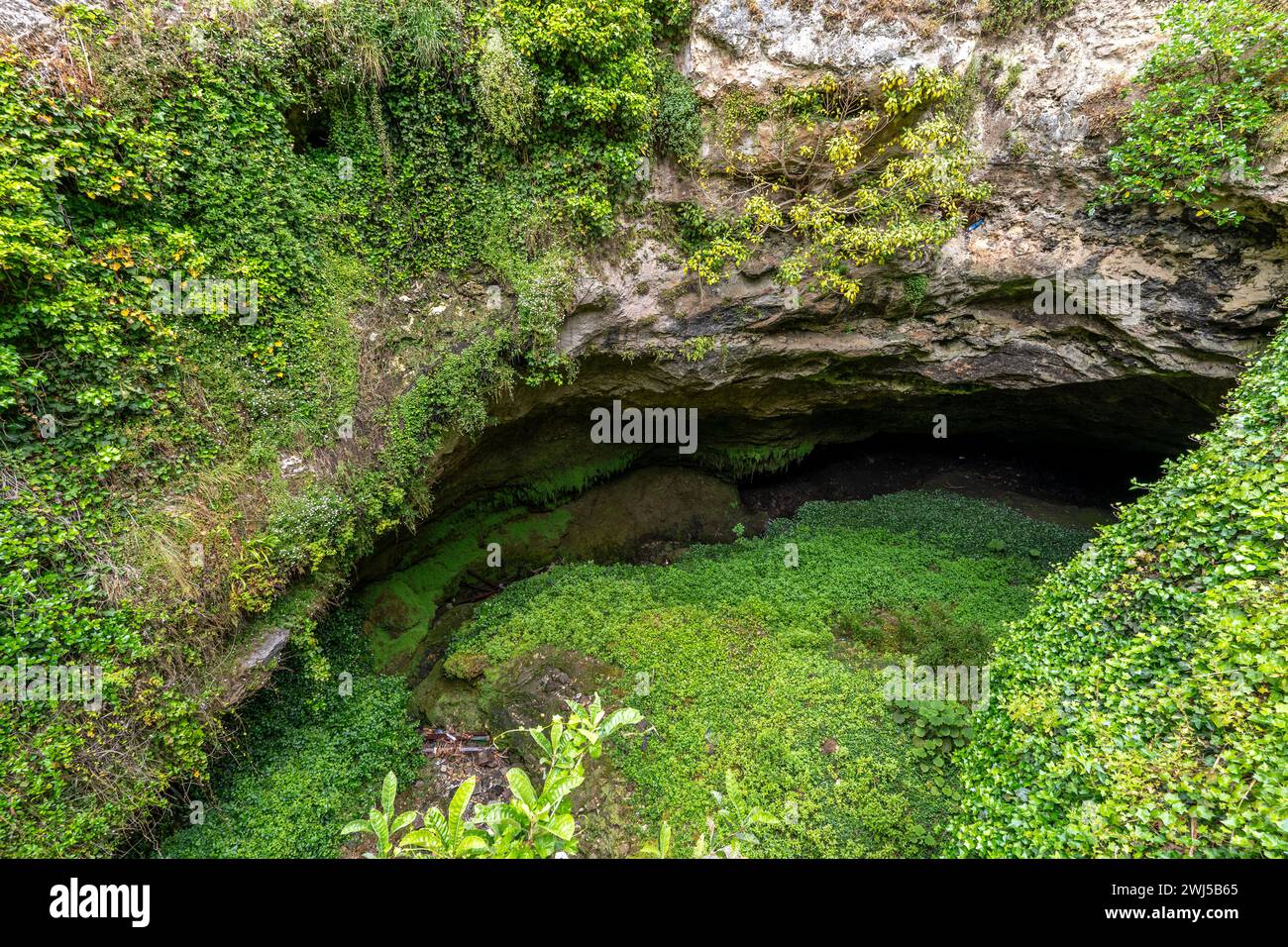 Mount Gambier Cave Garden, South Australia Stock Photo - Alamy