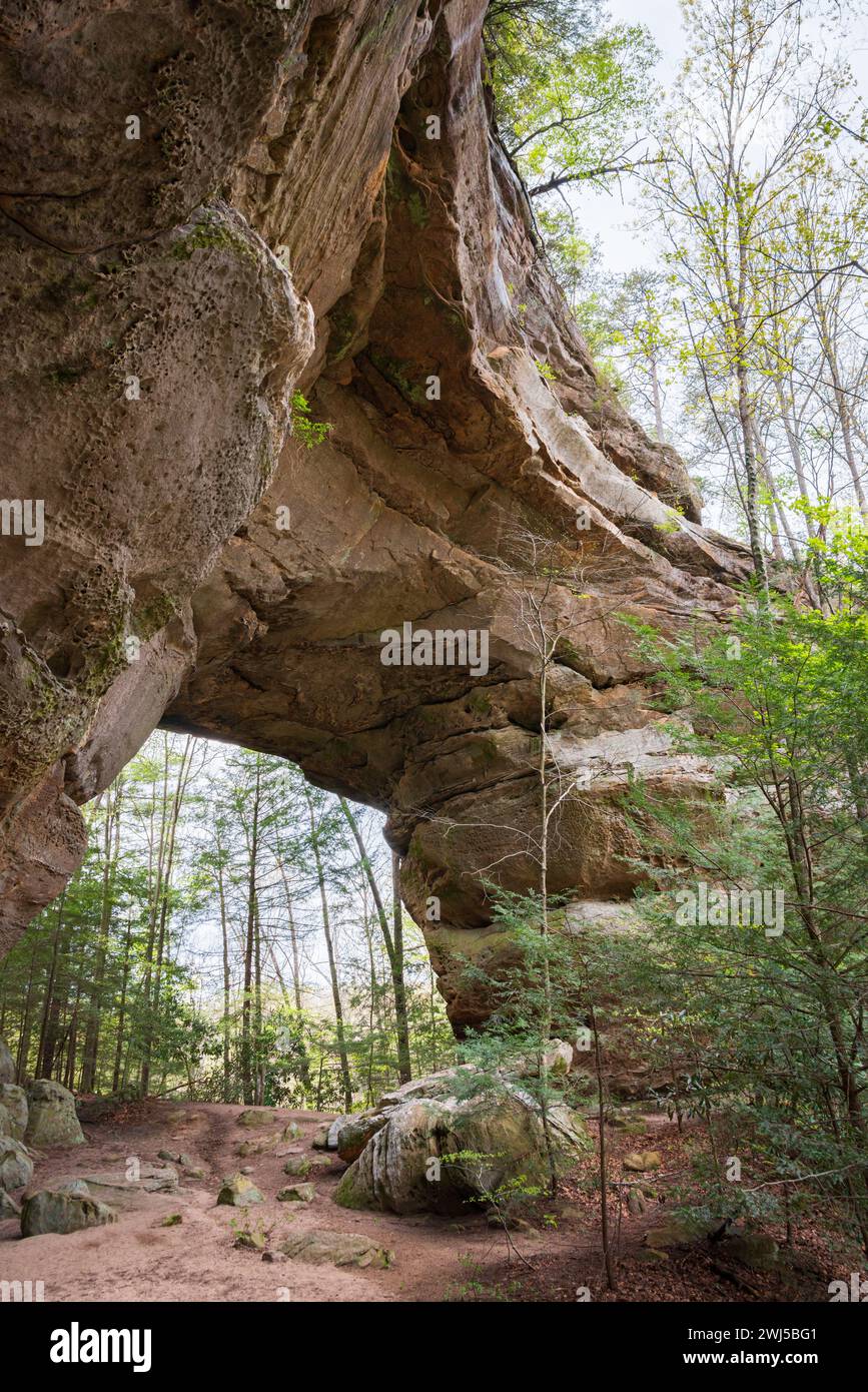 Twin Arches, Natural Rock Arch at Big South Fork National River and ...