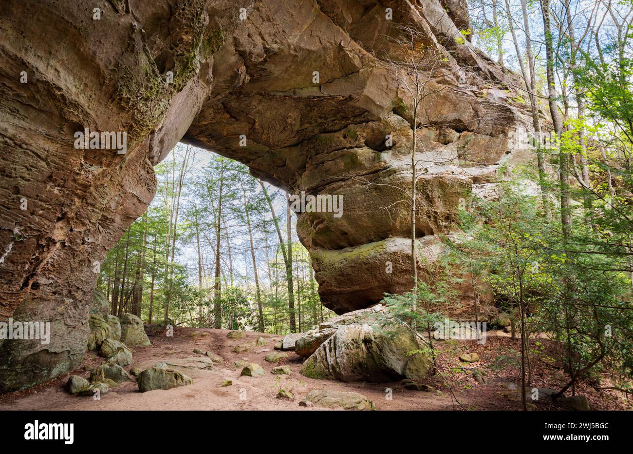 Twin Arches, Natural Rock Arch at Big South Fork National River and ...