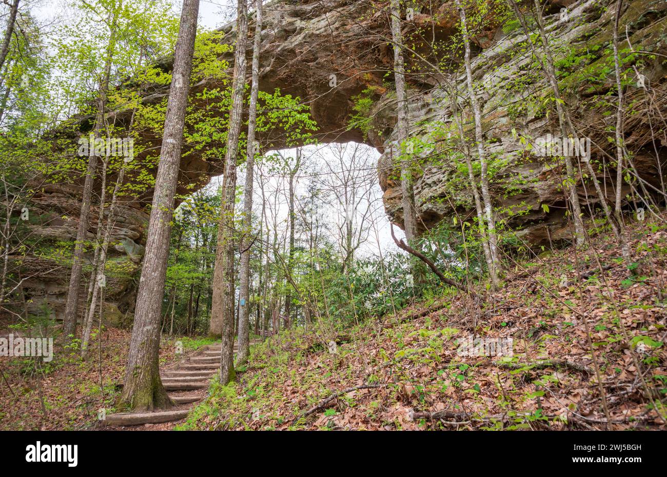 Twin Arches, Natural Rock Arch at Big South Fork National River and ...