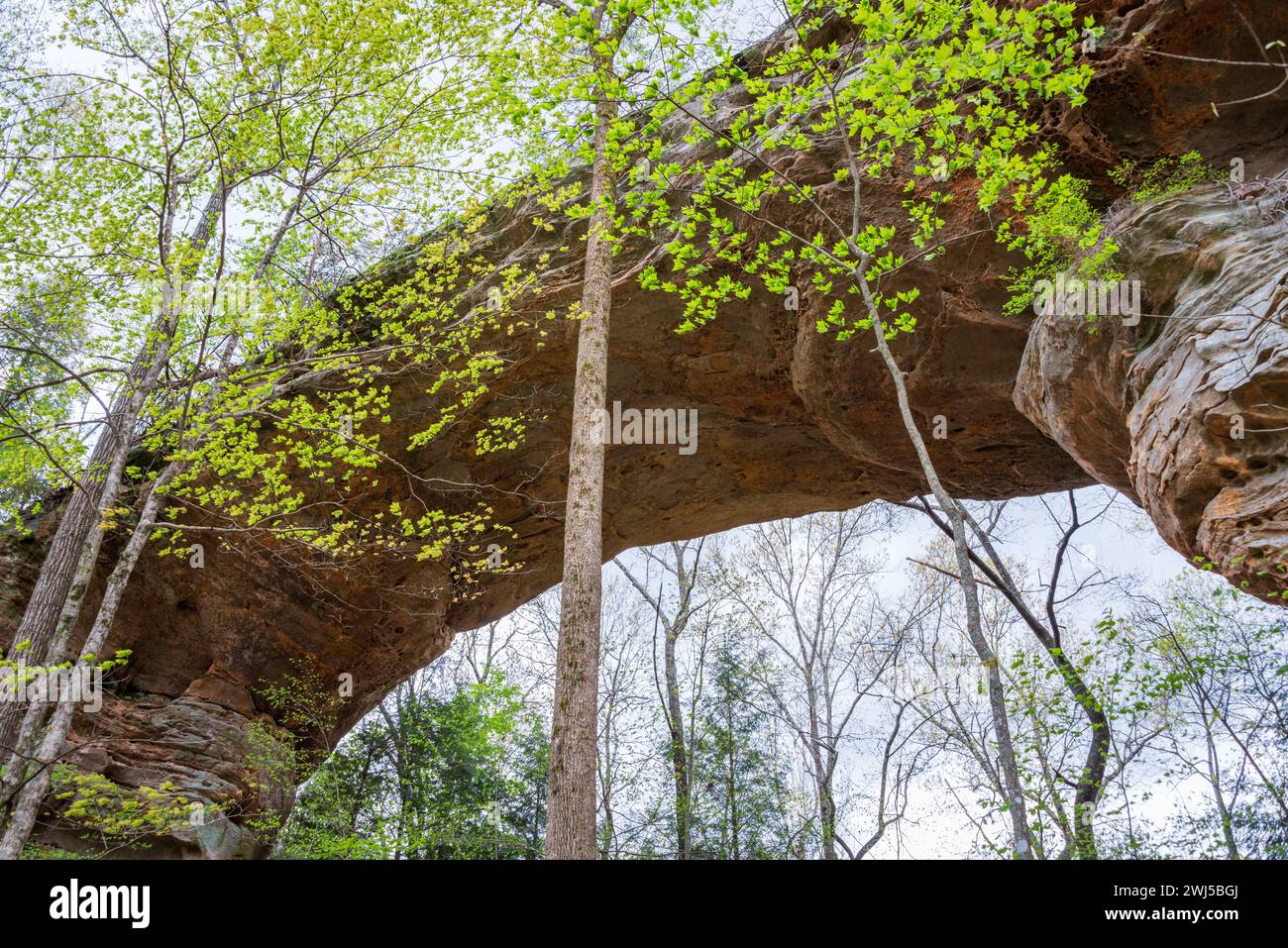 Twin Arches, Natural Rock Arch at Big South Fork National River and ...