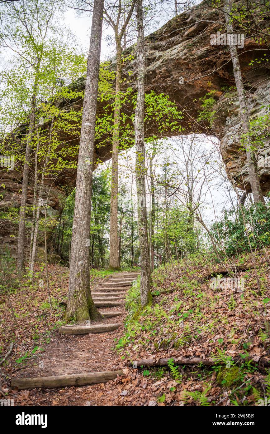 Twin Arches, Natural Rock Arch at Big South Fork National River and ...