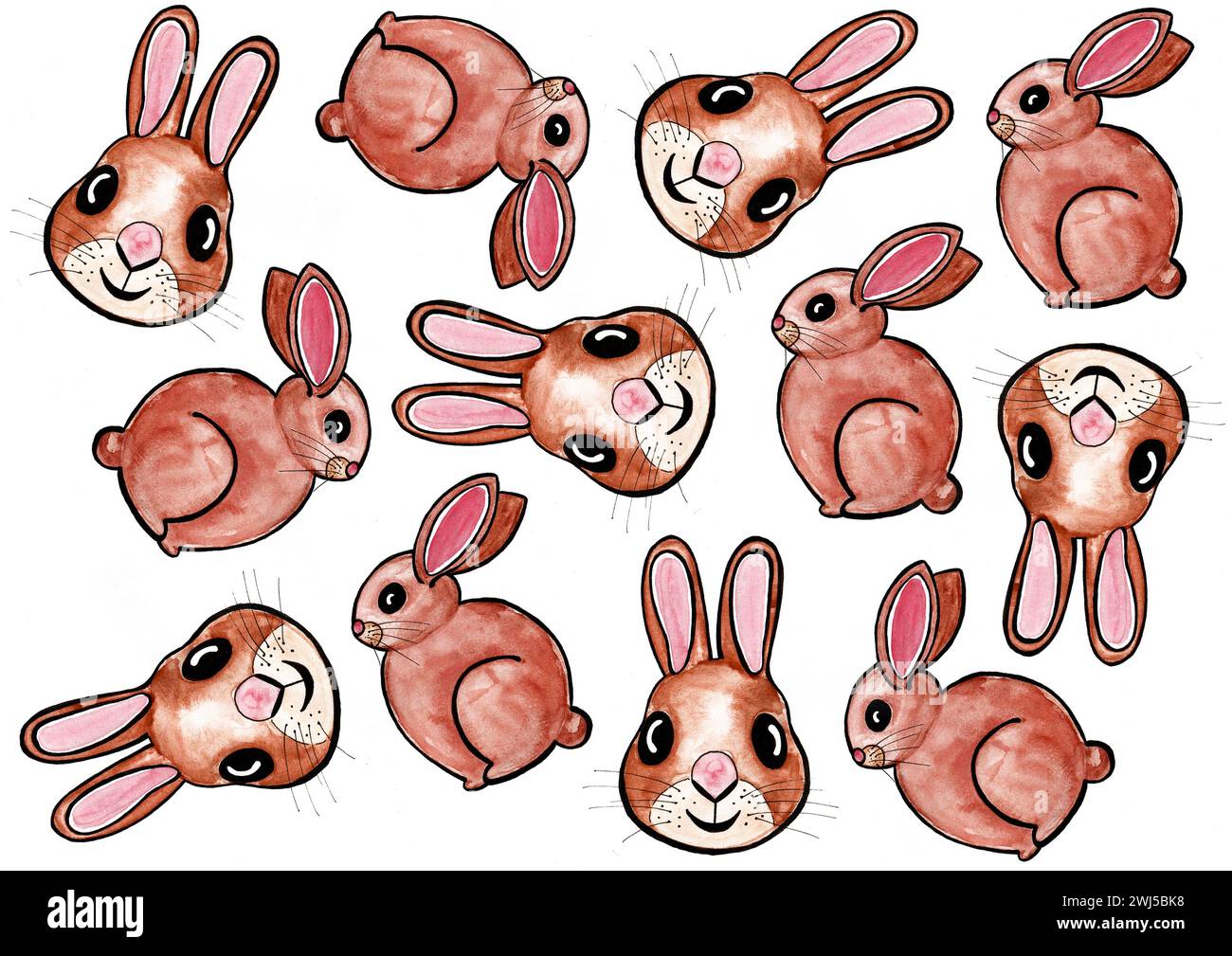 Rabbit Head Drawing Profile Black And Red Brown Rabbit Profile View