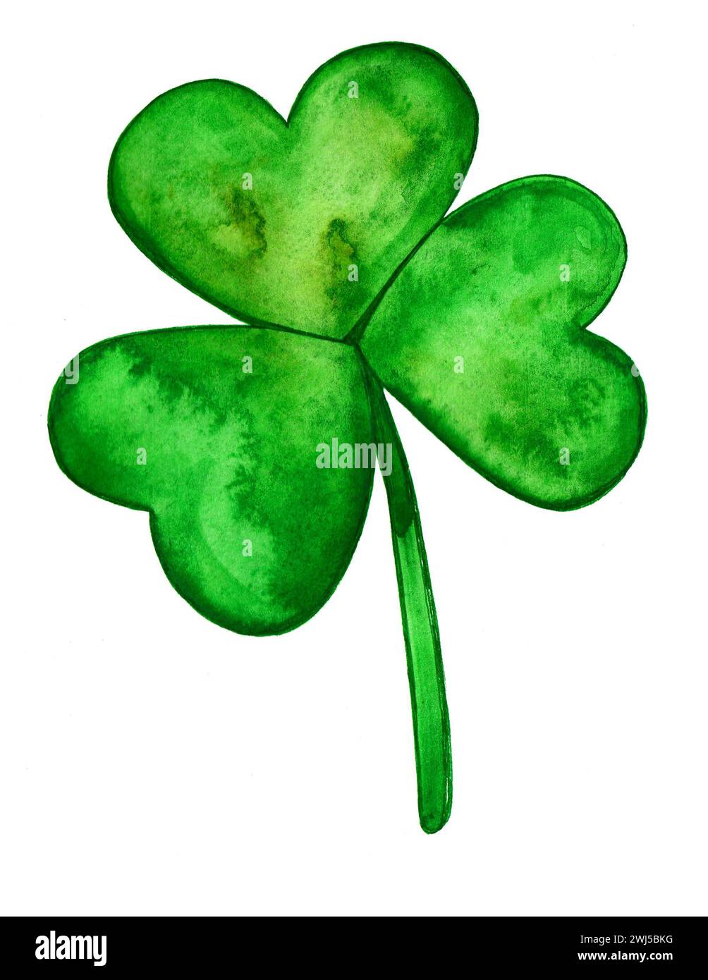 Green clover shamrock. Isolated on white background. Watercolor ...