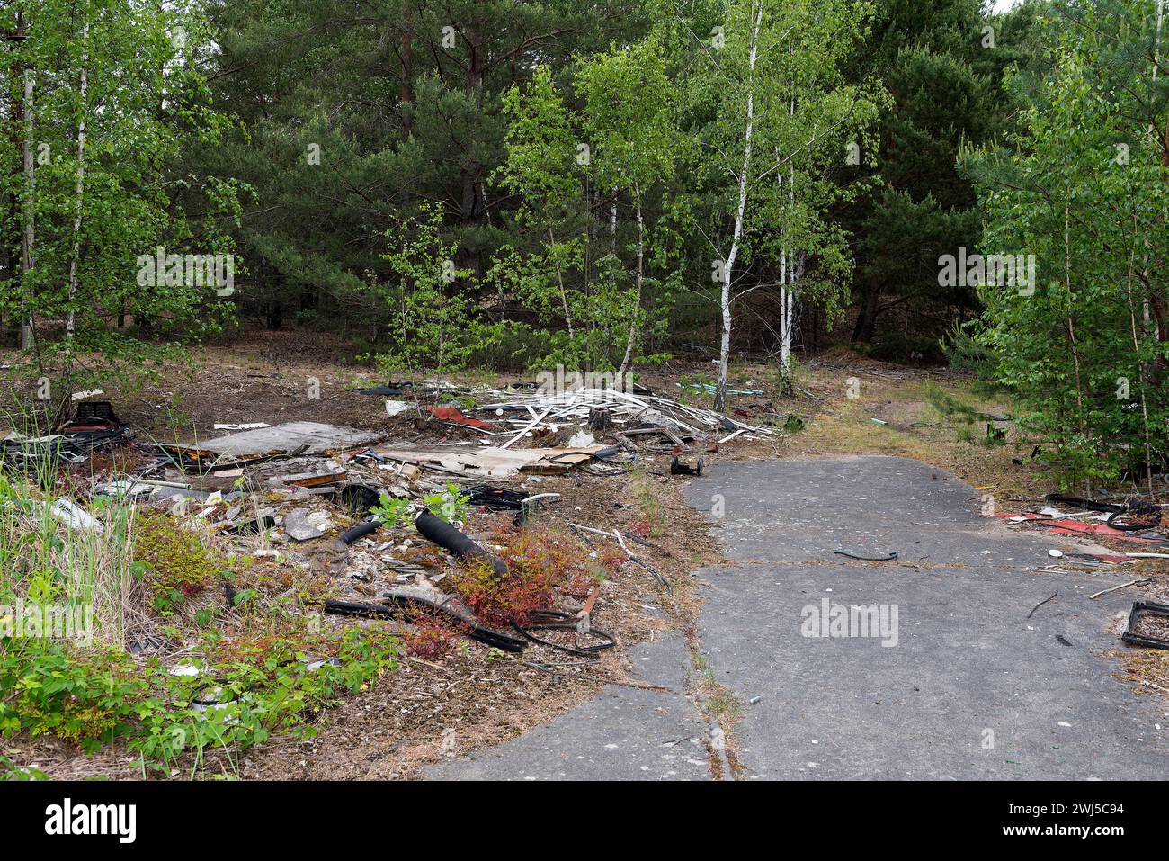 Illegally dumped bulky waste in the forest Stock Photo - Alamy