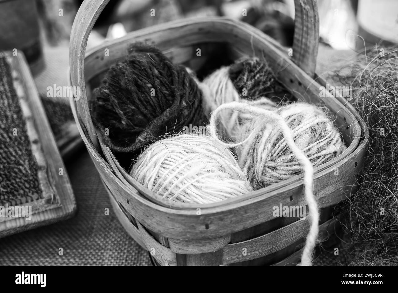 Detail of virgin sheep wool, dyed in colors, tradition Stock Photo - Alamy