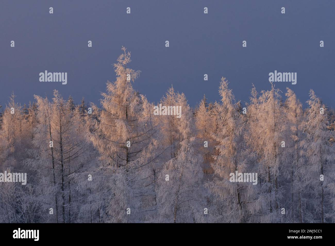 In morning sun winter hi-res stock photography and images - Alamy