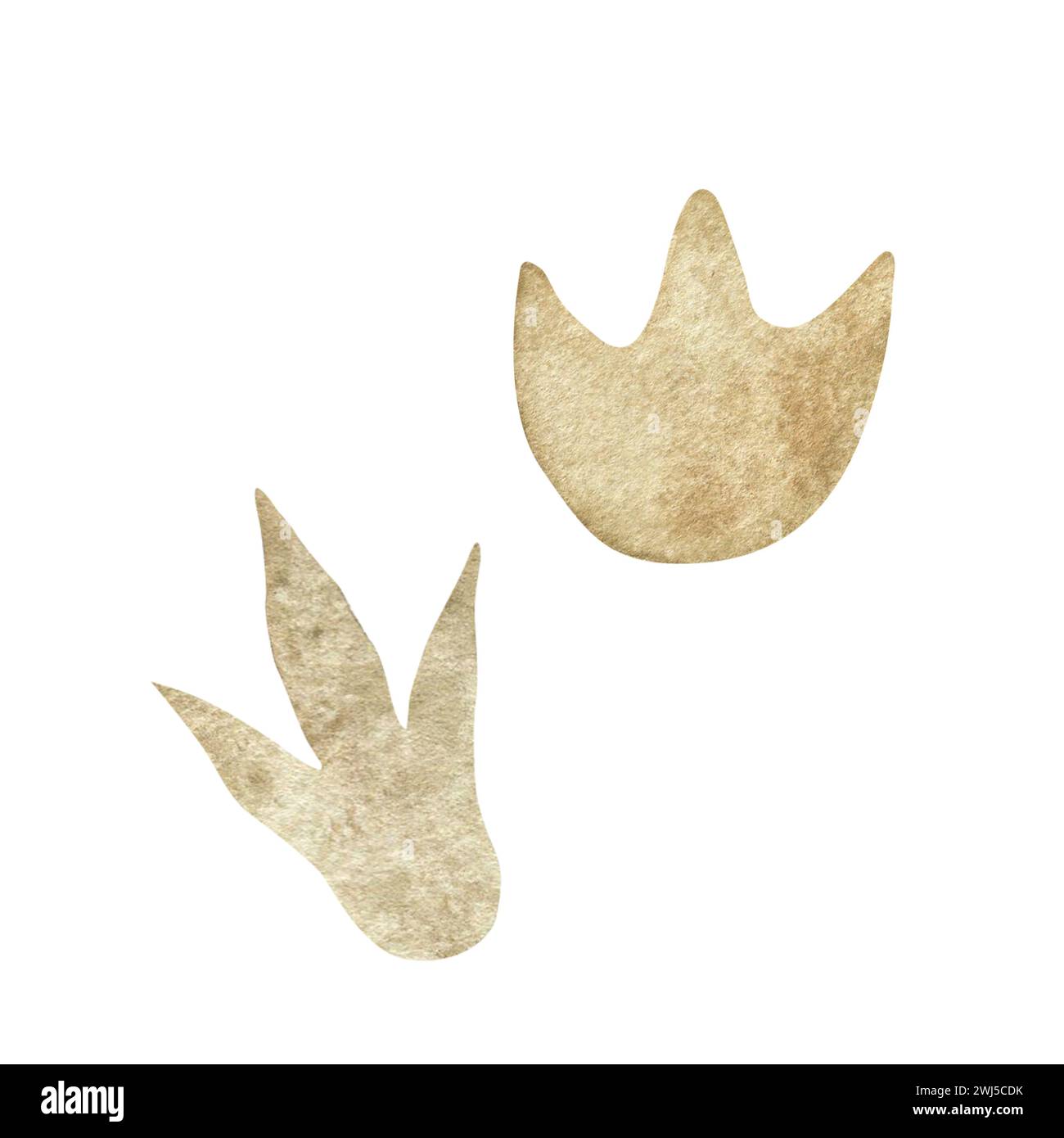 Dinosaur footprint clip art hi-res stock photography and images - Alamy