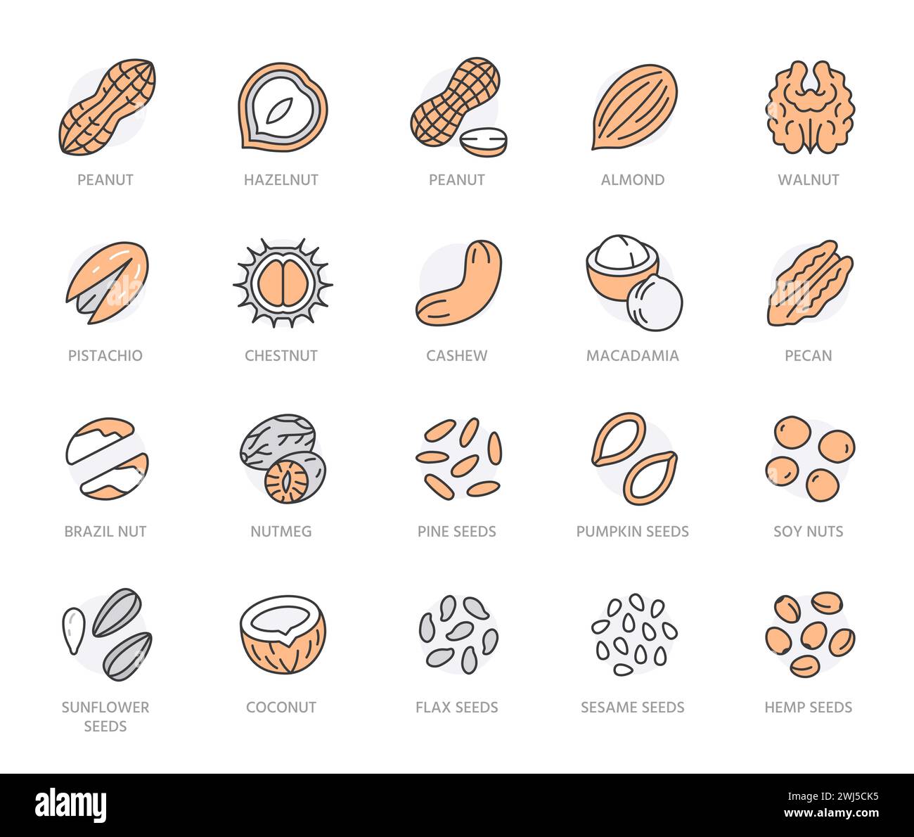 Snack nut icon outline Stock Vector Images - Alamy