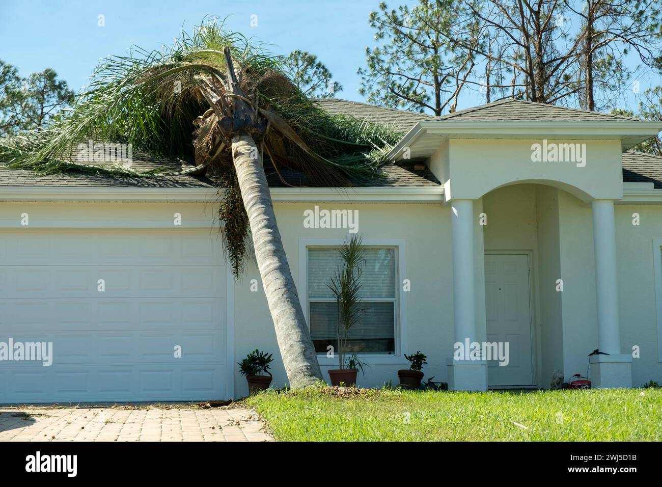 Hurricane damage to a house roof in Florida. Fallen down big tree after ...