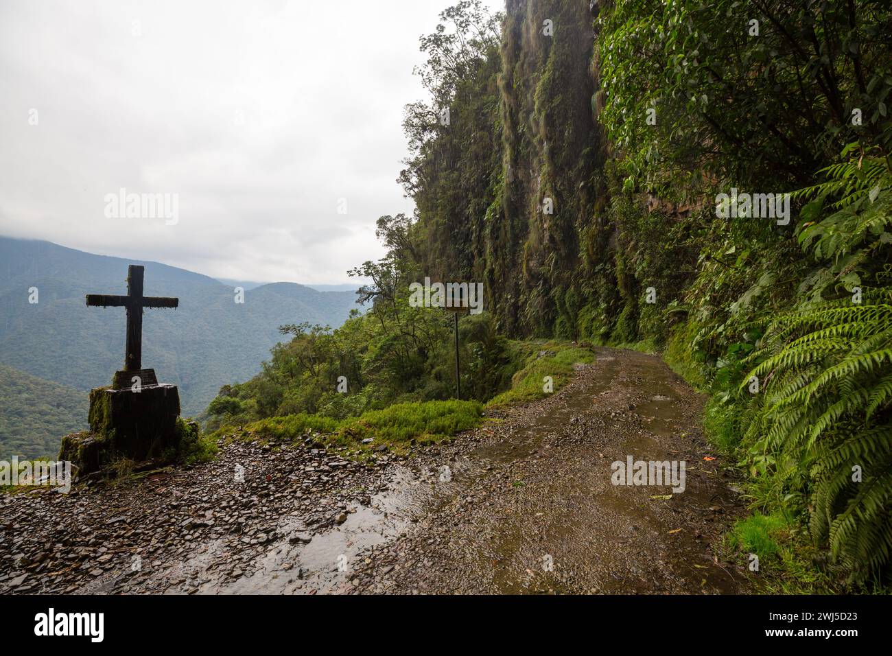 Yungas road road of death hi-res stock photography and images - Alamy