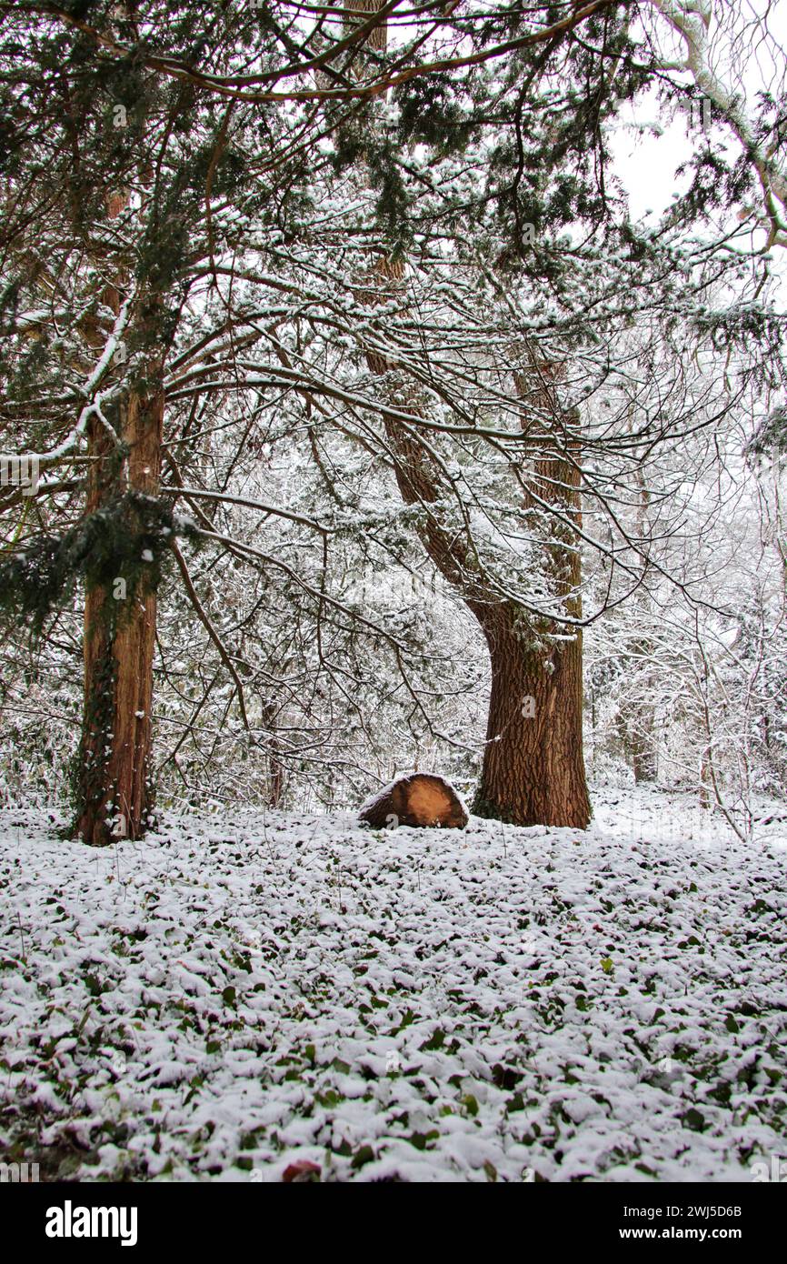 First snow fall in Mainz Germany Stock Photo - Alamy