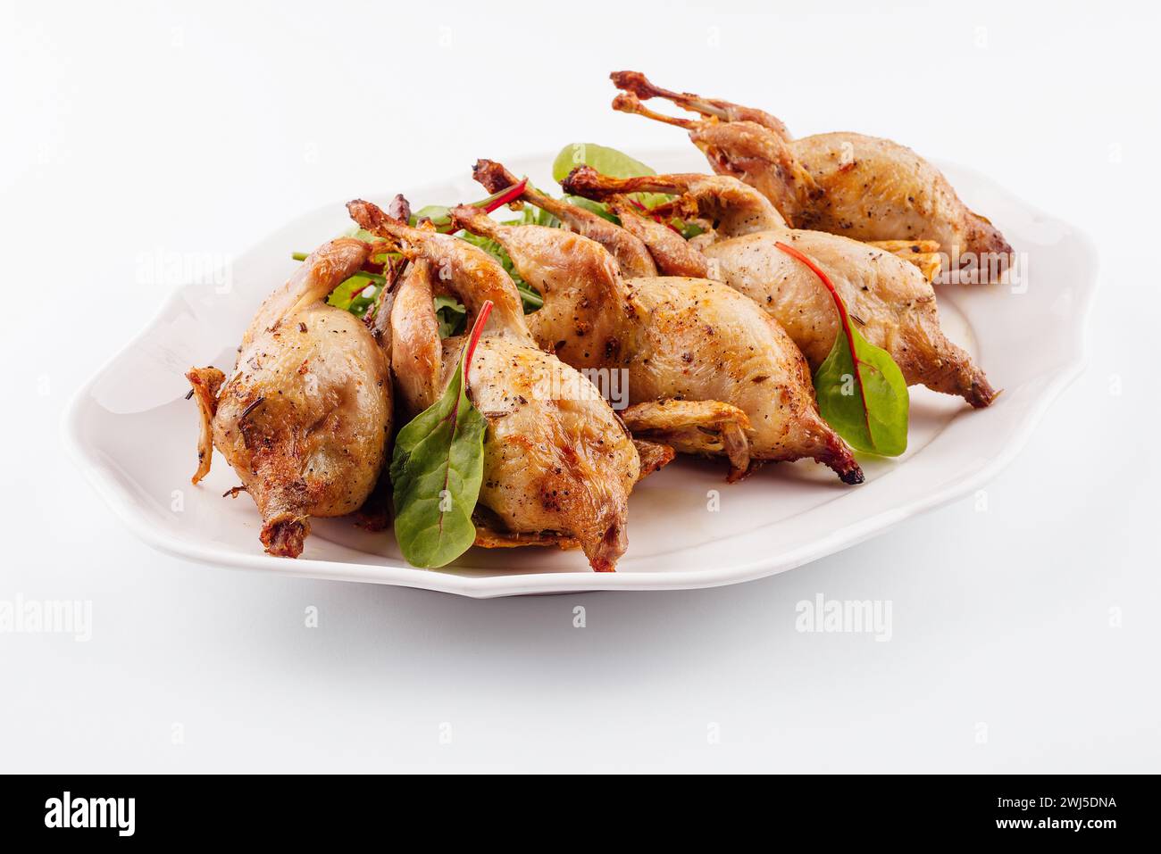 White brown quail chicken hi-res stock photography and images - Alamy