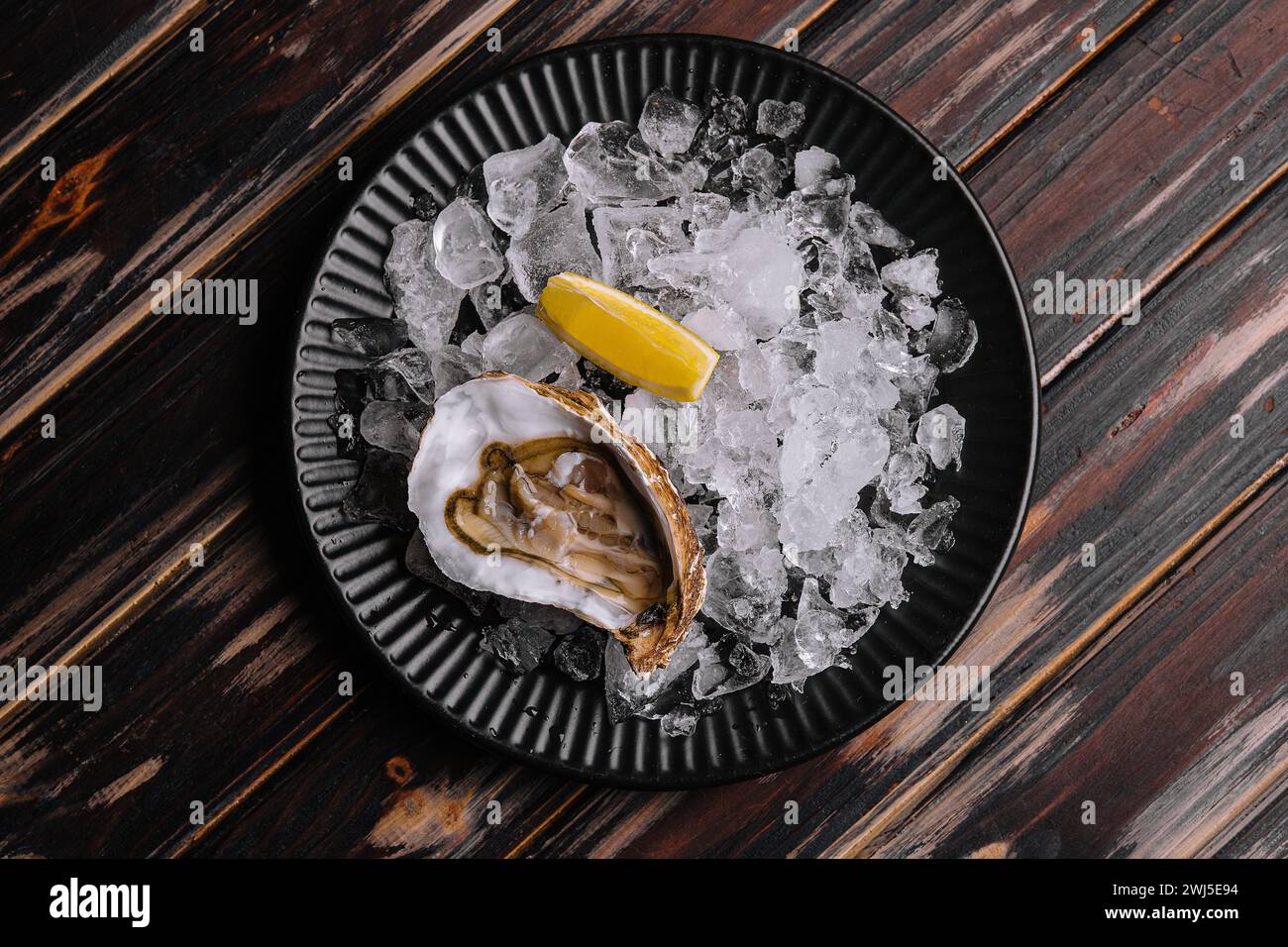 Fresh raw open oyster with ice and lemon slices Stock Photo - Alamy