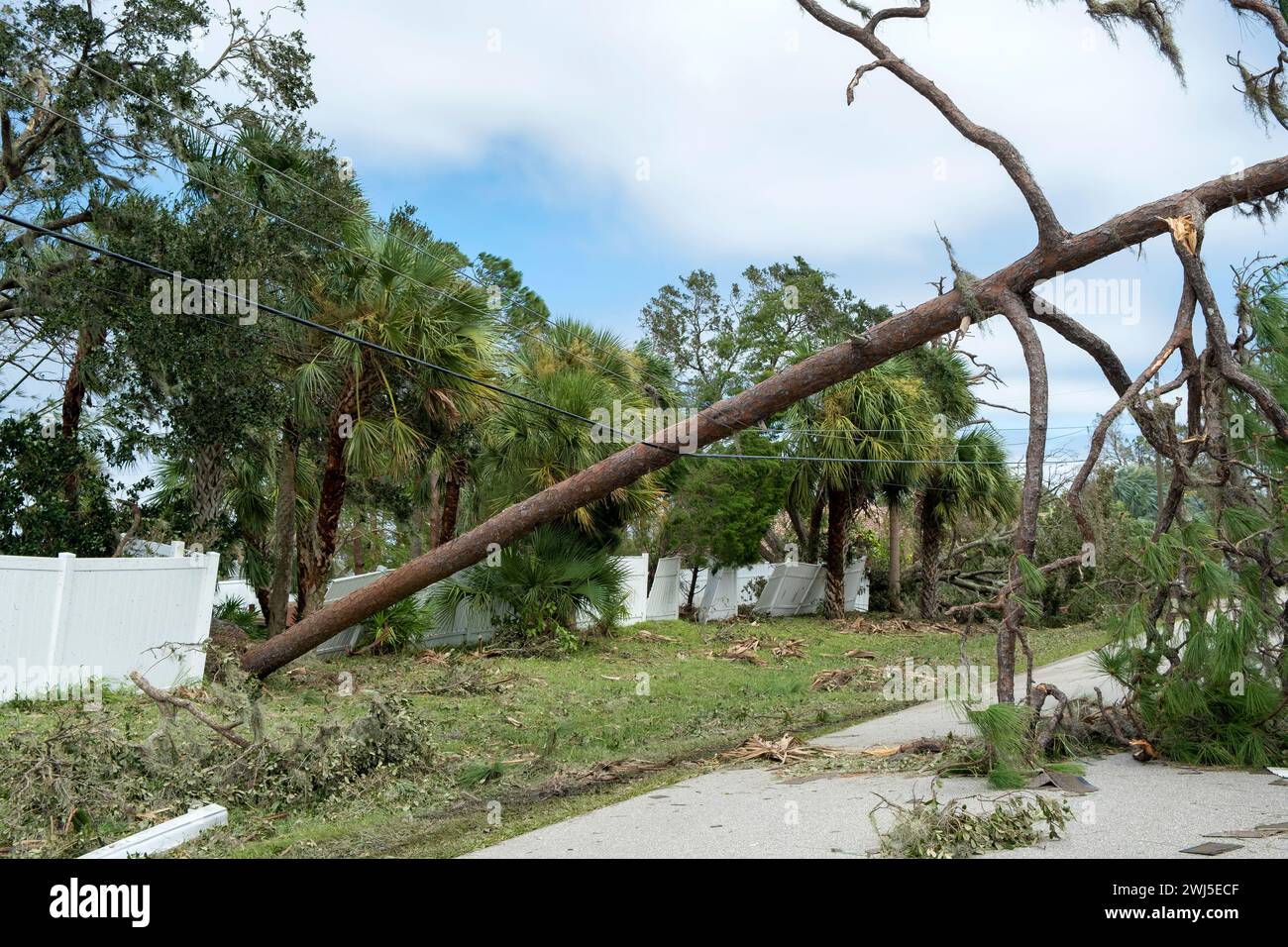 Hurricane wind broken tree damaged power line and communication wire in ...