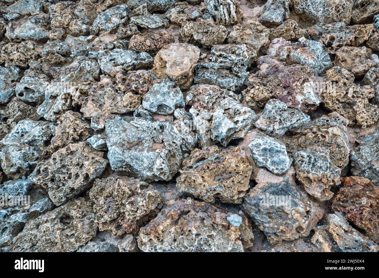 Coral construction hi-res stock photography and images - Alamy