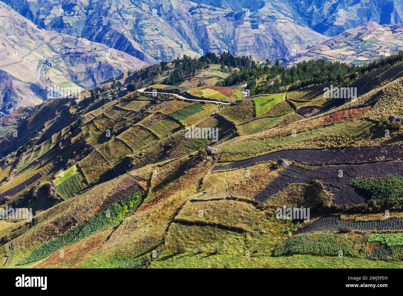 Rural landscapes in Ecuador Stock Photo - Alamy