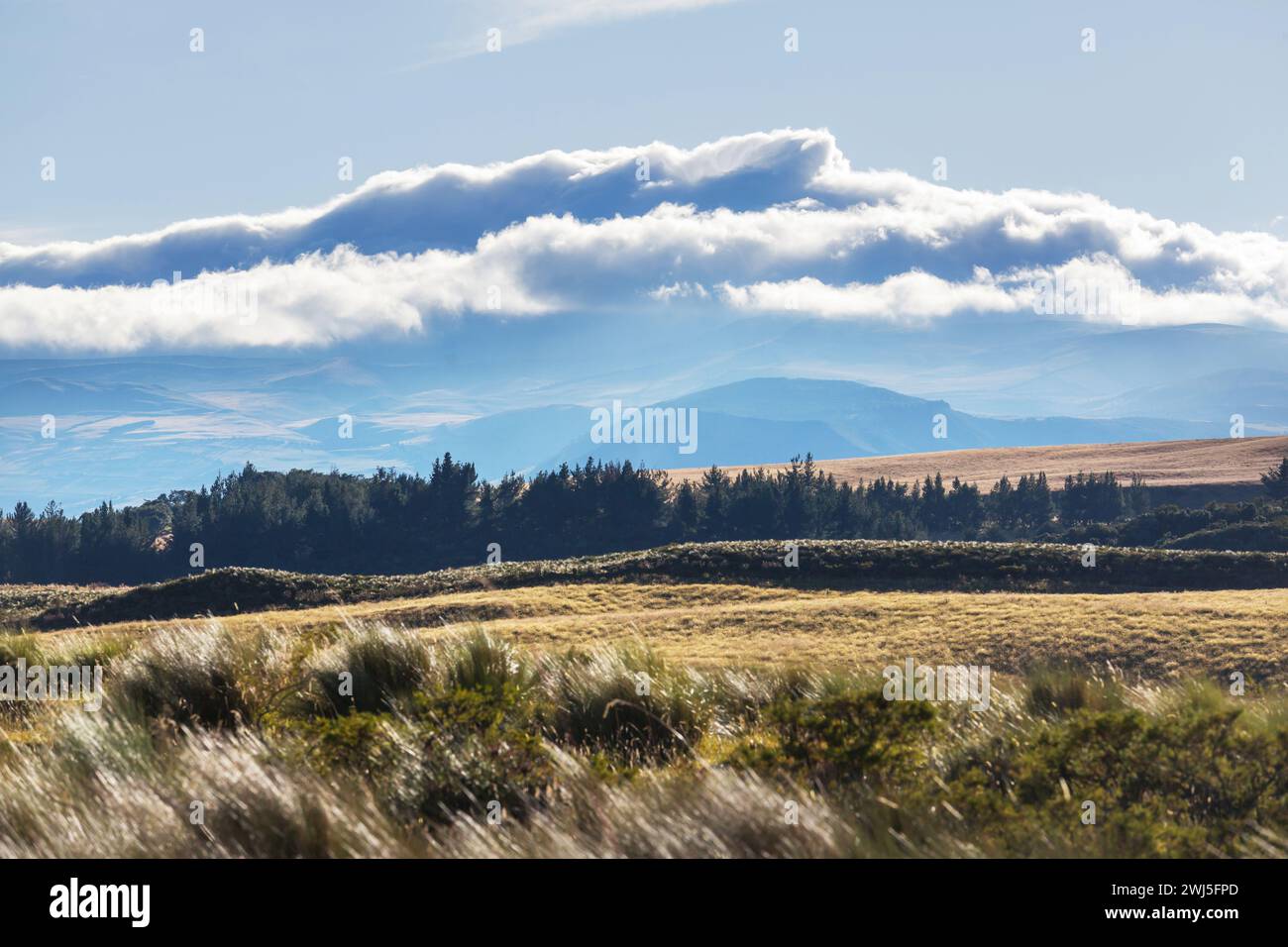 Landscapes in Ecuador Stock Photo - Alamy