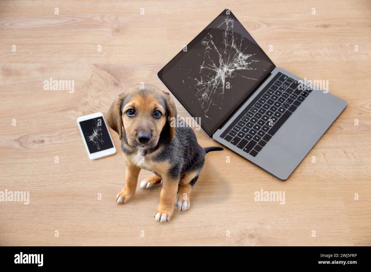 Looking laptop guilty hi-res stock photography and images - Alamy