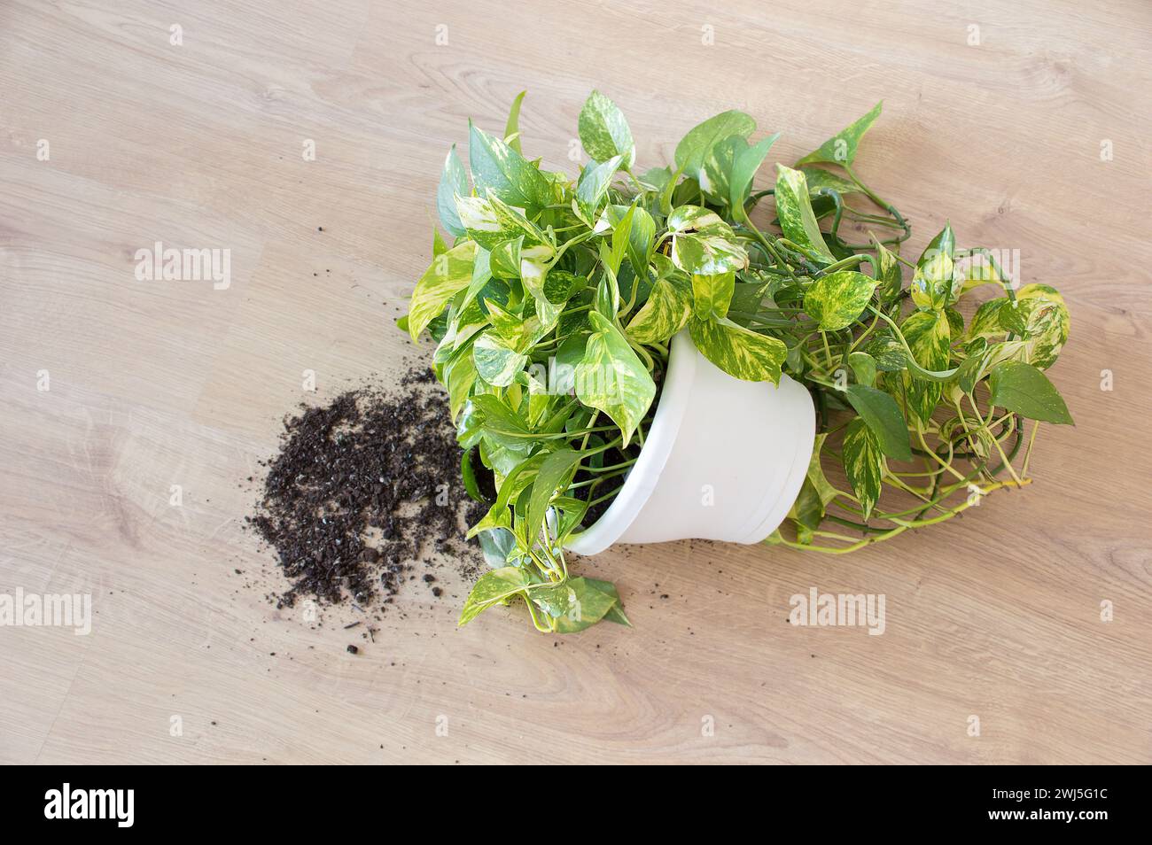 Overturned plant pot hi-res stock photography and images - Alamy