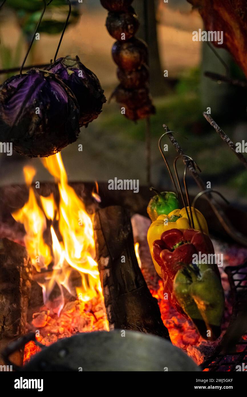 Campfire succulent hi-res stock photography and images - Alamy