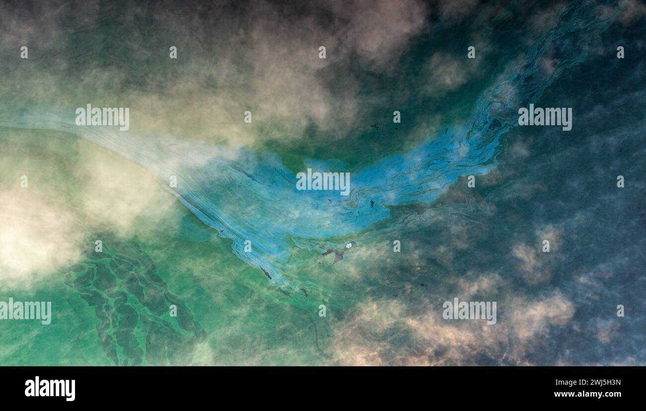 Algae blooming hi-res stock photography and images - Alamy