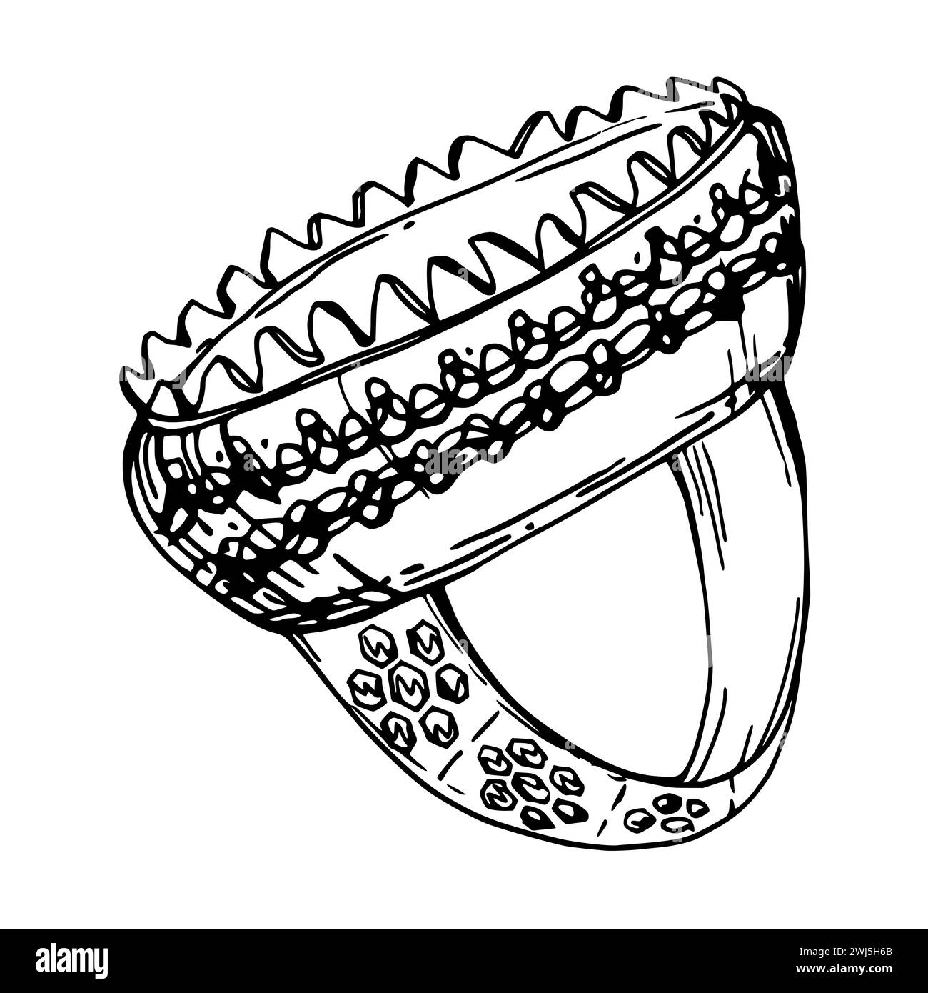 Hand drawn ink vector illustration, embroidered national indian clothes ...