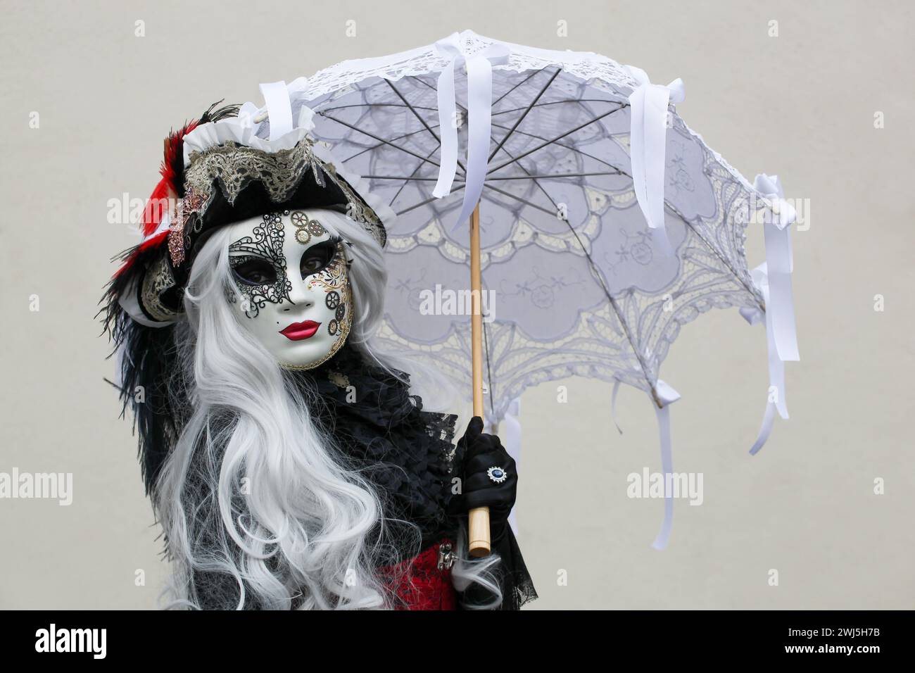 Camouflage disguise dress as hide hidden hi-res stock photography and ...