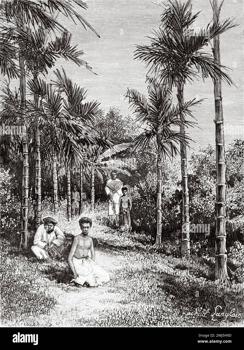 The Chams people, Austronesian ethnic group in Southeast Asia. Tonkin ...