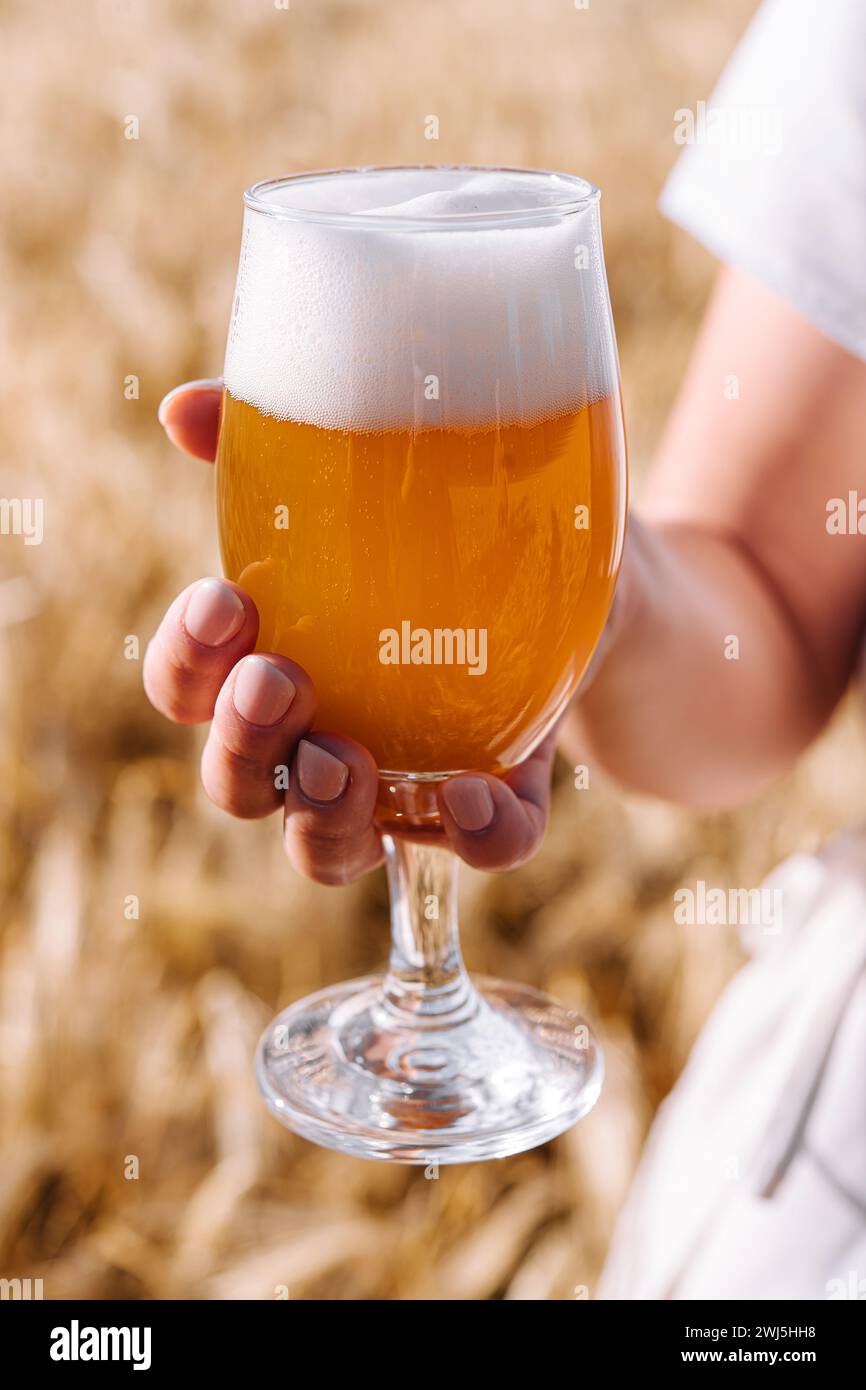 Glass of beer in hand against the background of wheat field Stock Photo ...