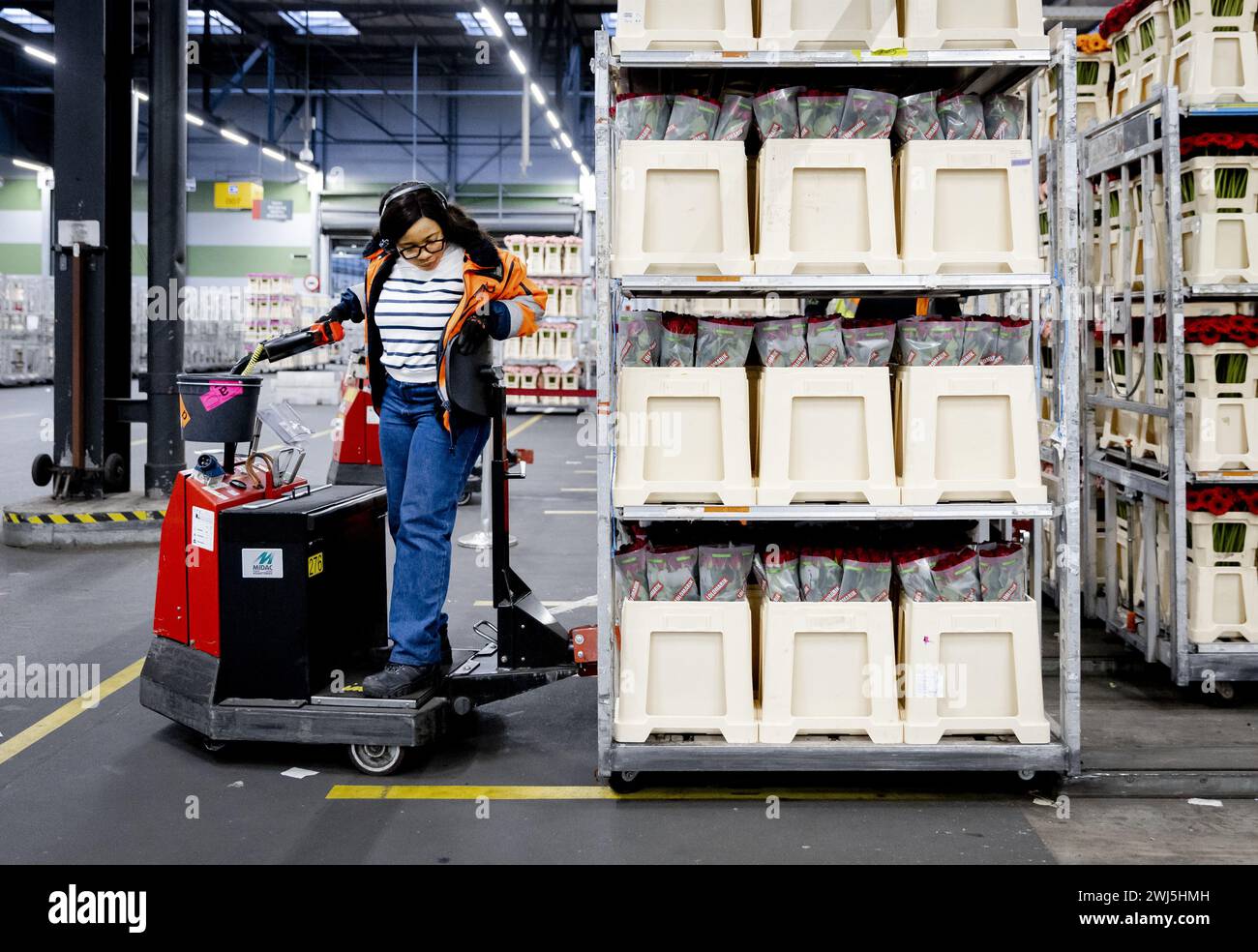 AALSMEER - Employees process flowers in the auction hall of Royal ...