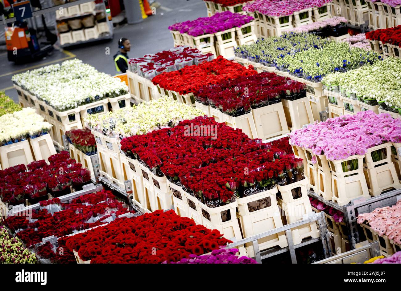 AALSMEER - Carts with roses and other flowers in the auction hall of ...