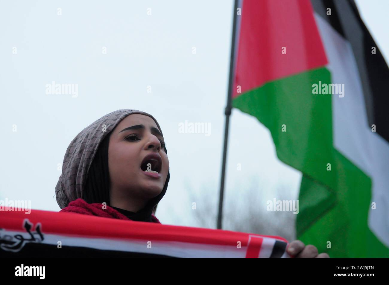 New York City, United States. 12th Feb, 2024. A pro-Palestine ...