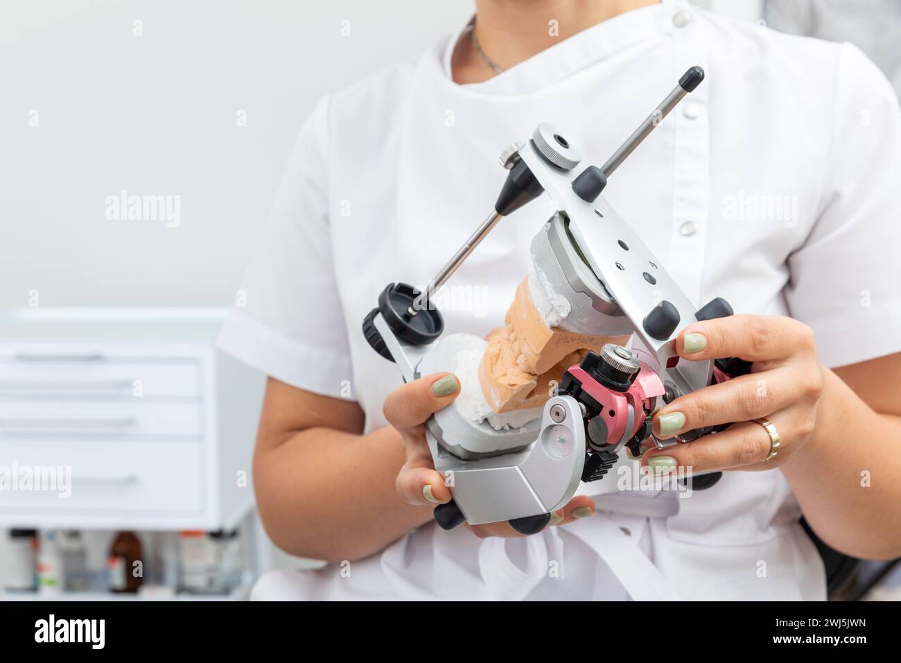 Dentist holding dental articulator with dental gypsum prosthesis model ...