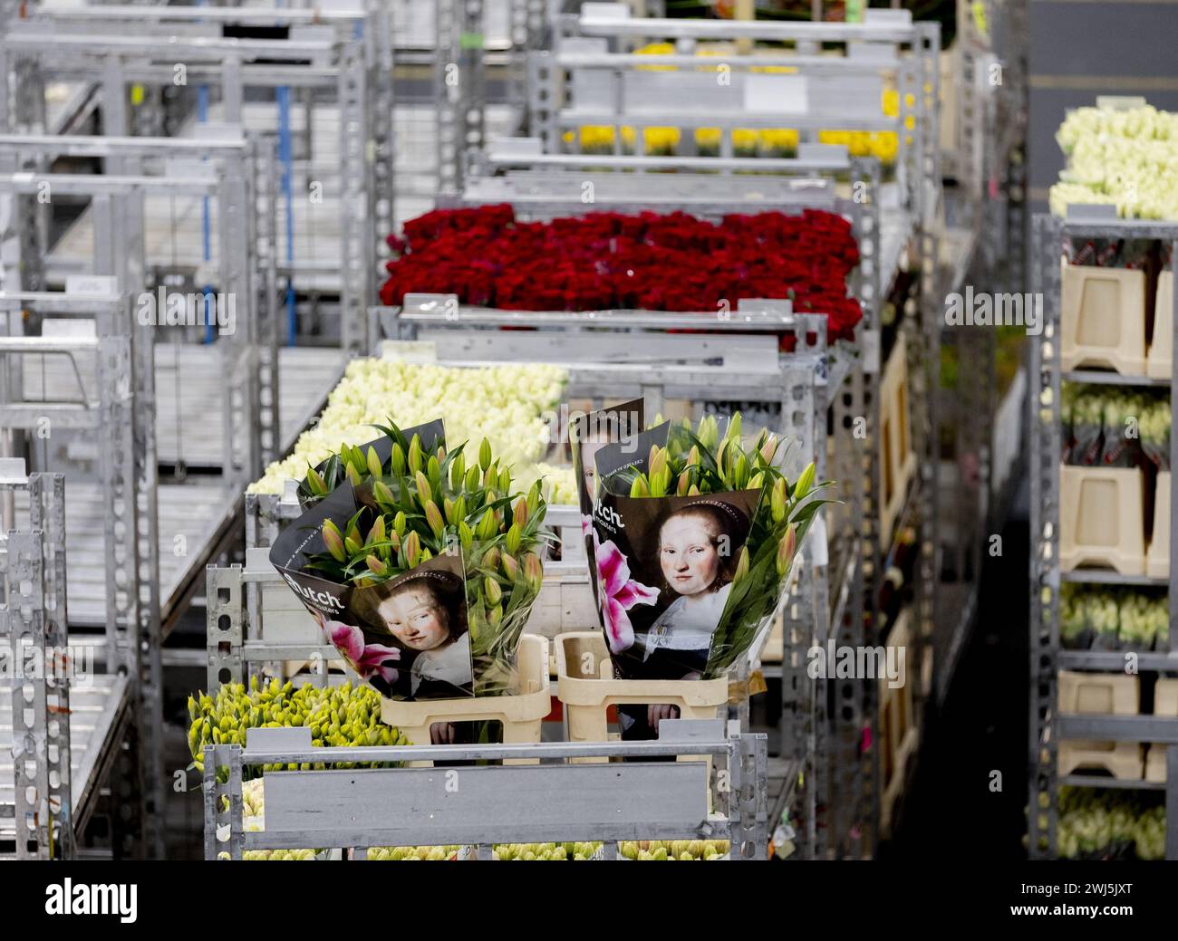 AALSMEER - Carts with roses and other flowers in the auction hall of ...