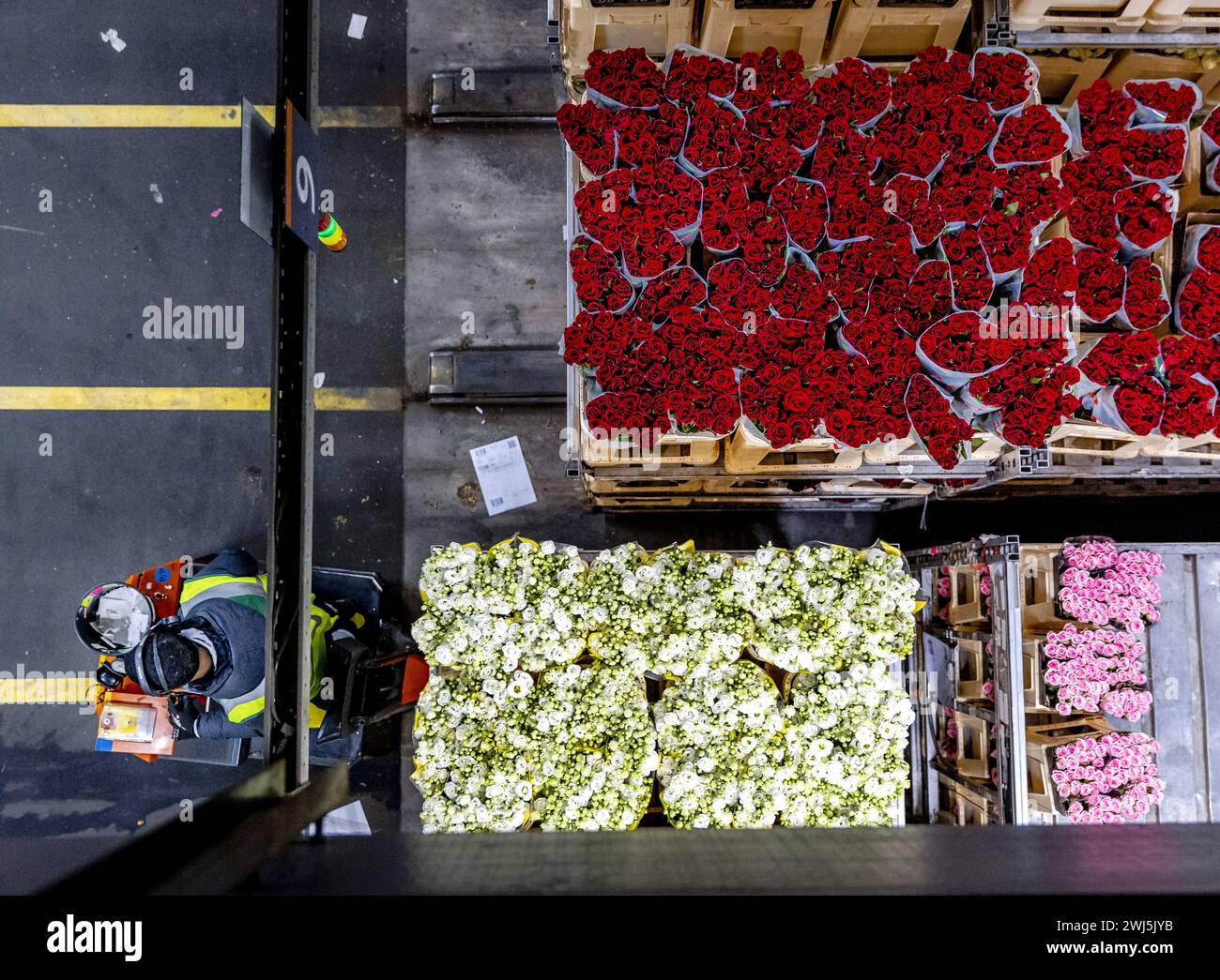 AALSMEER - Employees process flowers in the auction hall of Royal ...
