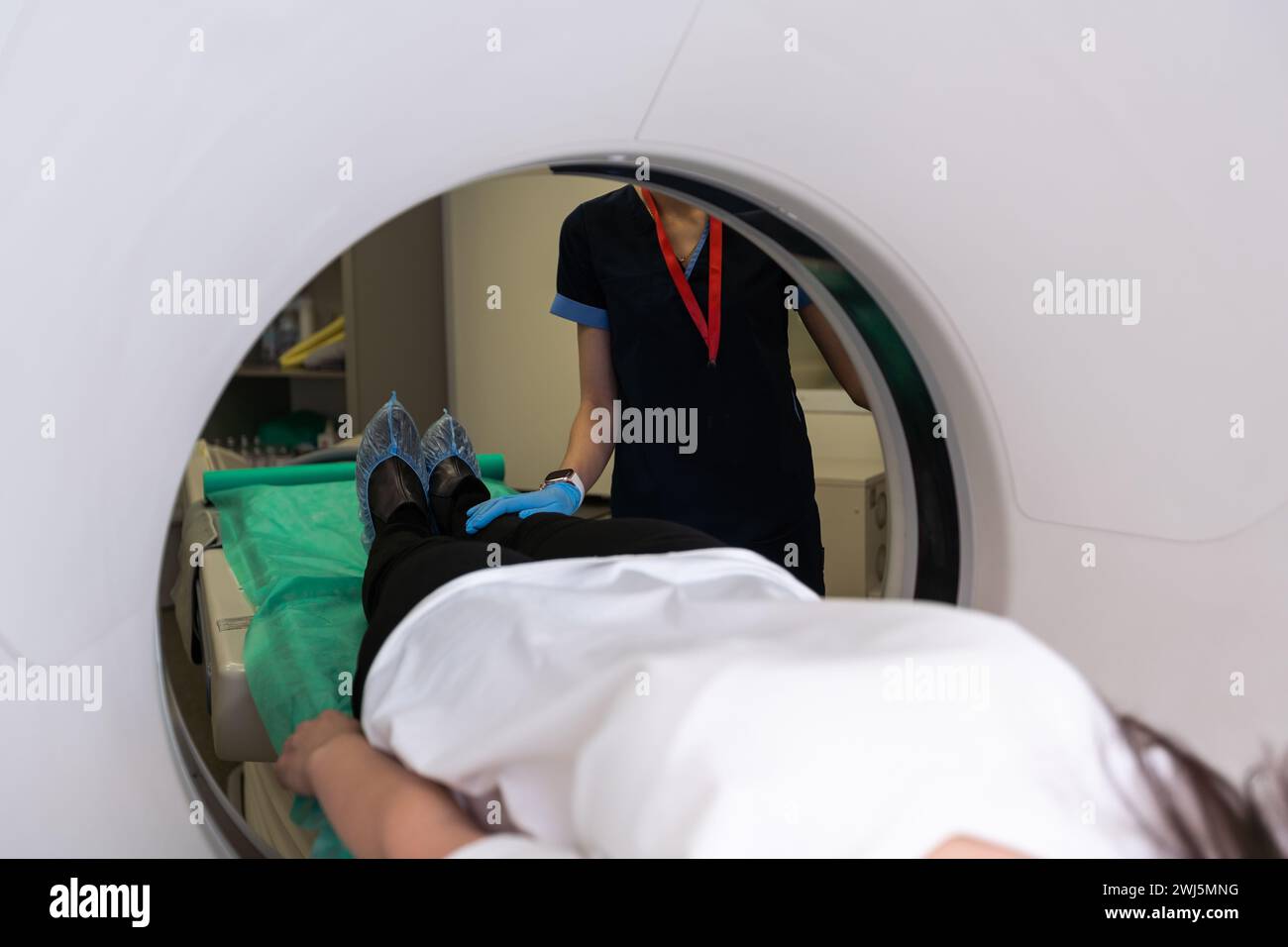 Computed tomography of the pelvis and hard tissues for women. CT scan ...