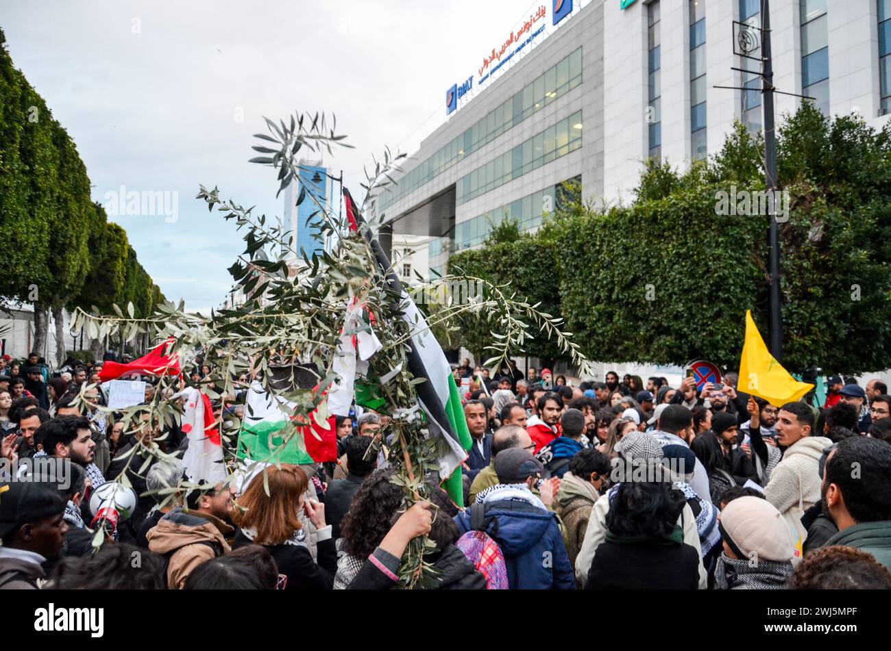 February 12, 2024: Tunis, Tunisia. 12 February 2024. A pro-Gaza rally ...