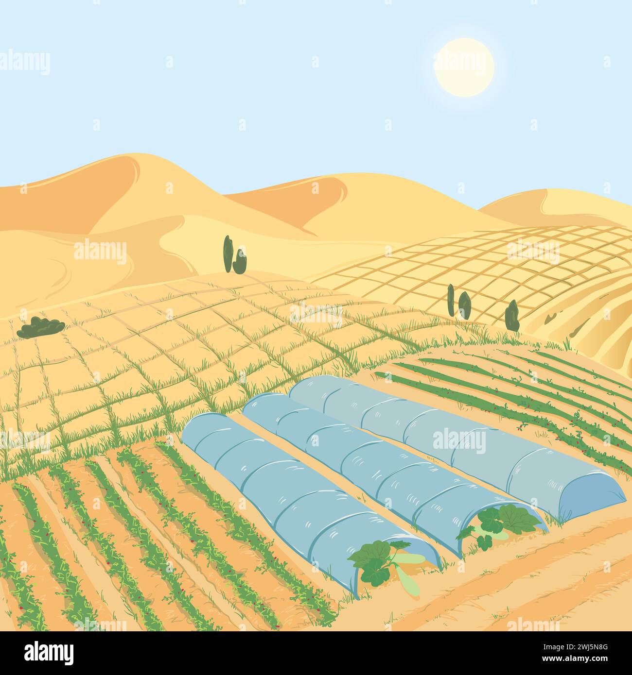 China's national Green Wall Program to Combat Desertification ...