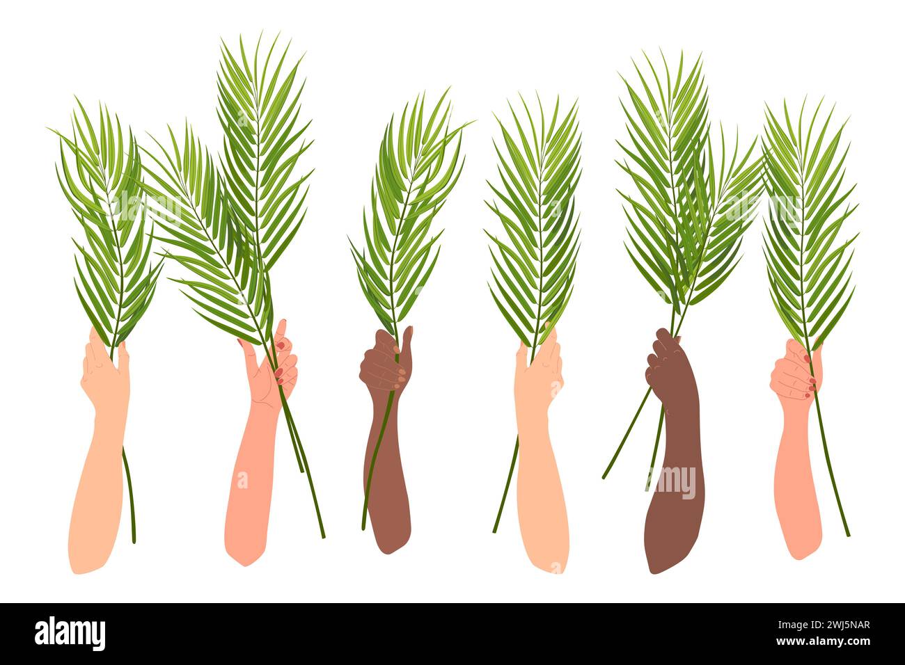Celebration of palm Sunday in the Christian tradition. Hands are raised with palm branches, the ...
