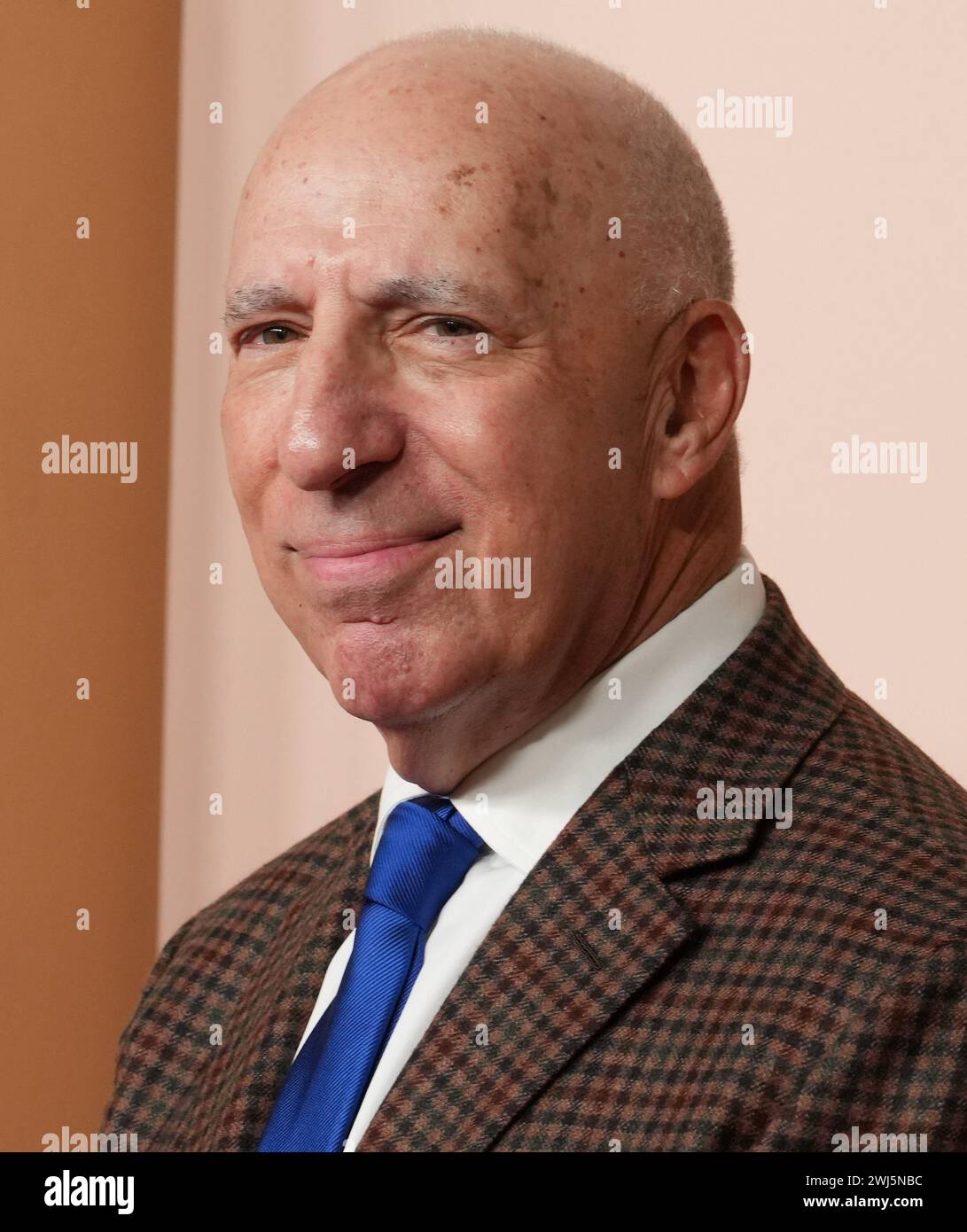 Los Angeles, USA. 12th Feb, 2024. Steven Rales at the 96th Oscars ...