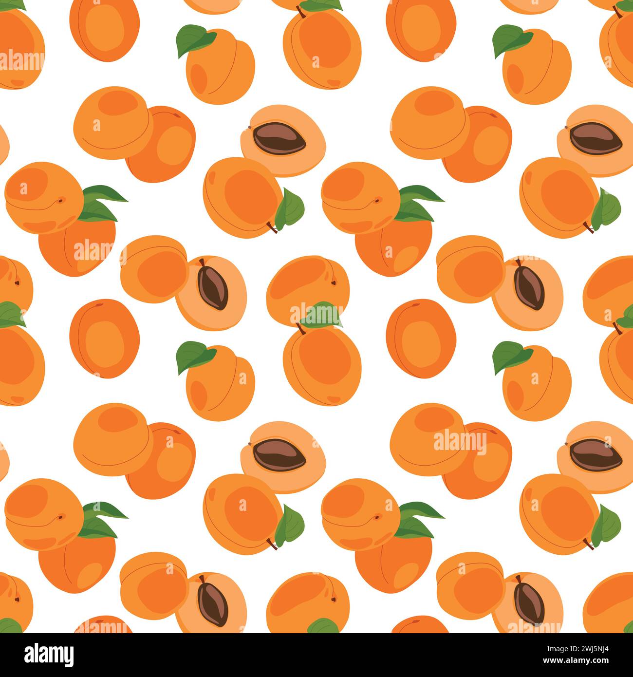 Apricot seamless pattern. Vector. Fruits whole and cut into pieces on a ...